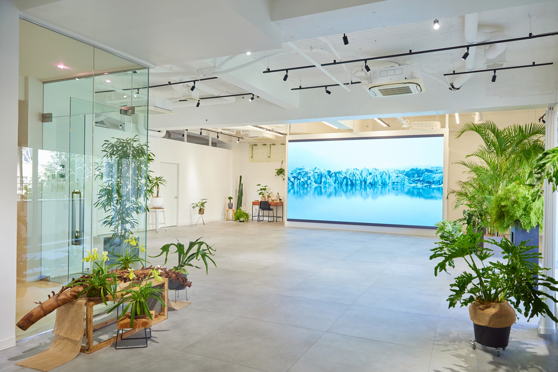 TAO STUDIO aoyama タオスタジオアオヤマ｜[R]studio